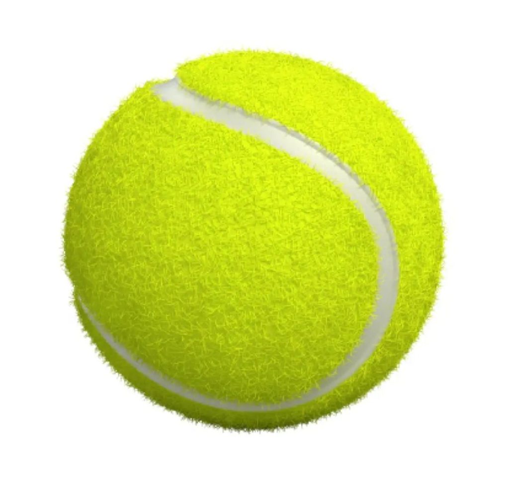 Elle Ball – Befit.lk